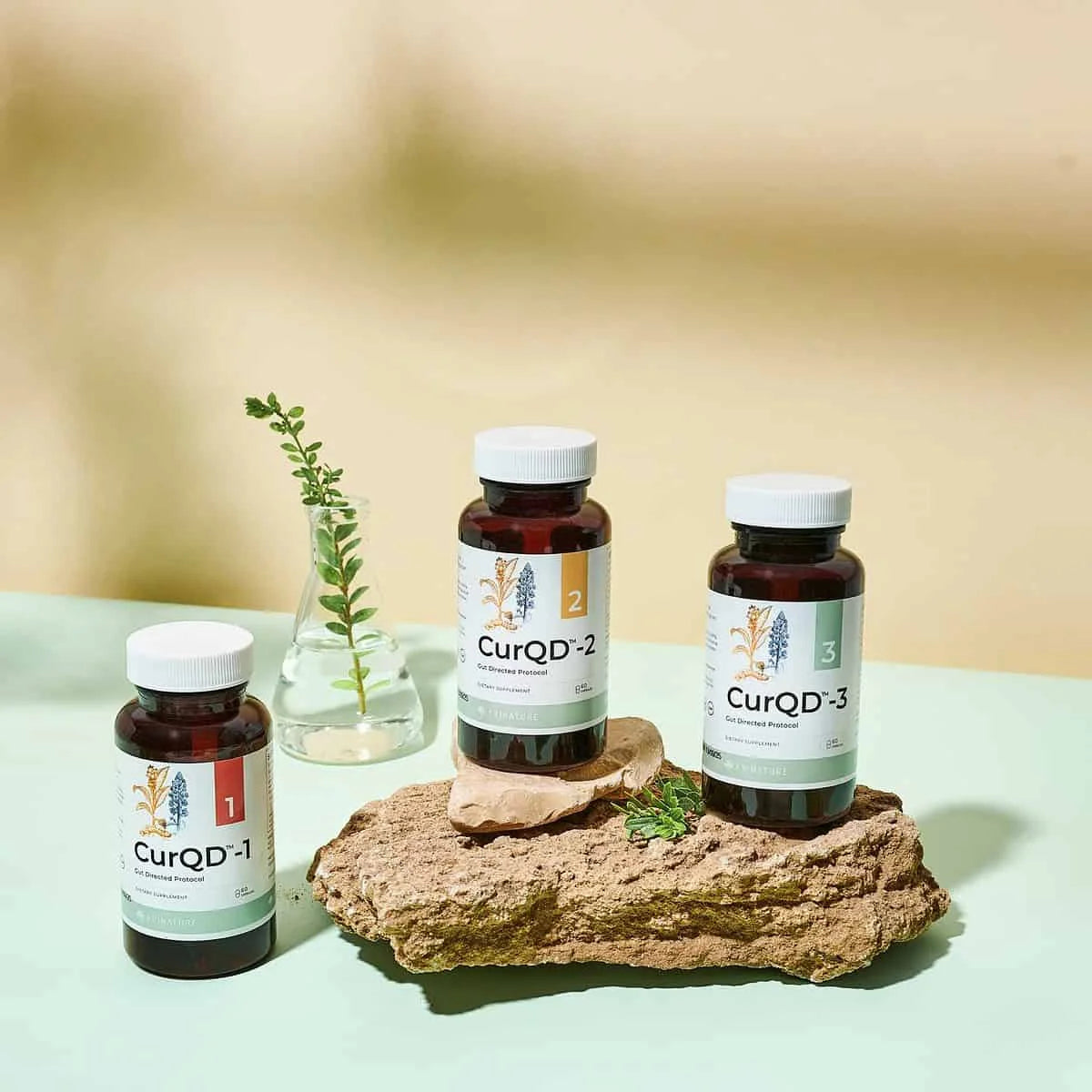 CurQD® Protocol RED – Evinature