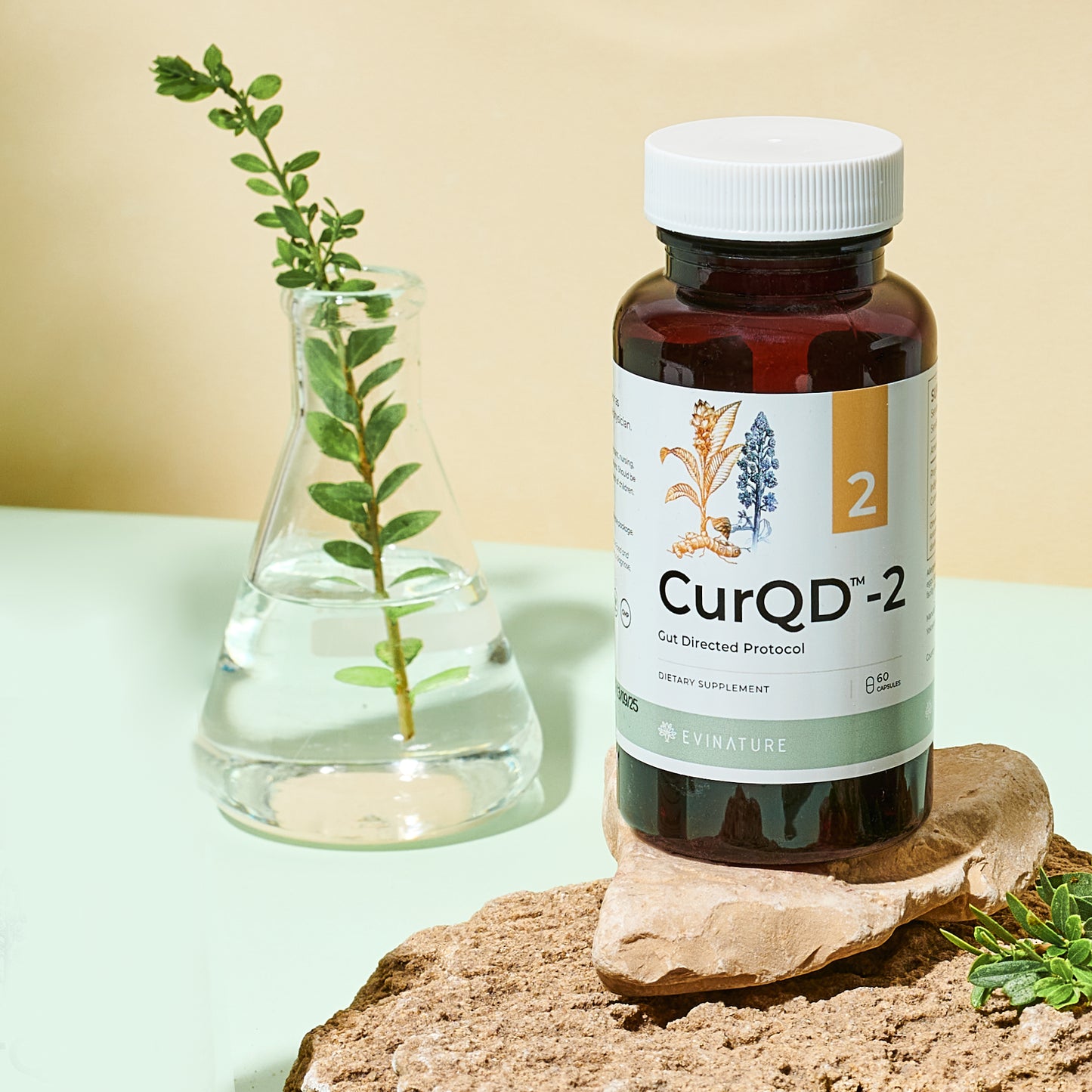 CurQD-2 – Evinature