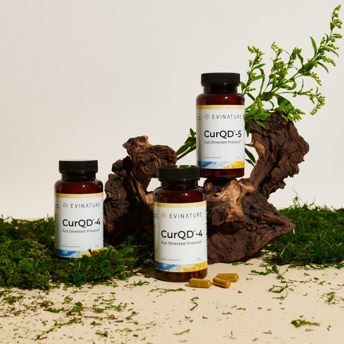 CurQD® Protocol GREEN – Evinature